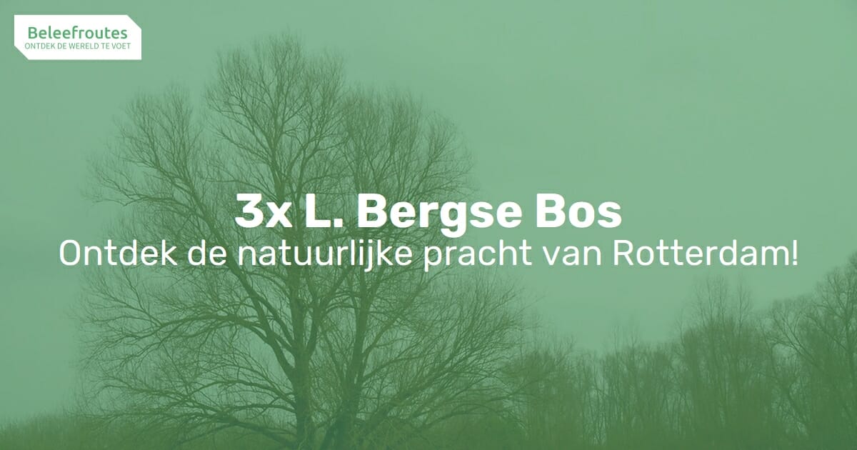 Stadswandeling door Rotterdam? 10x Mooie wandelroutes