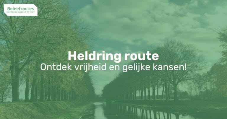 7 Mooiste Wandelroutes in Hoenderloo (Hartje Veluwe)