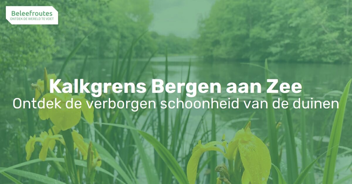 6x Mooiste Wandelroutes in Bergen aan Zee