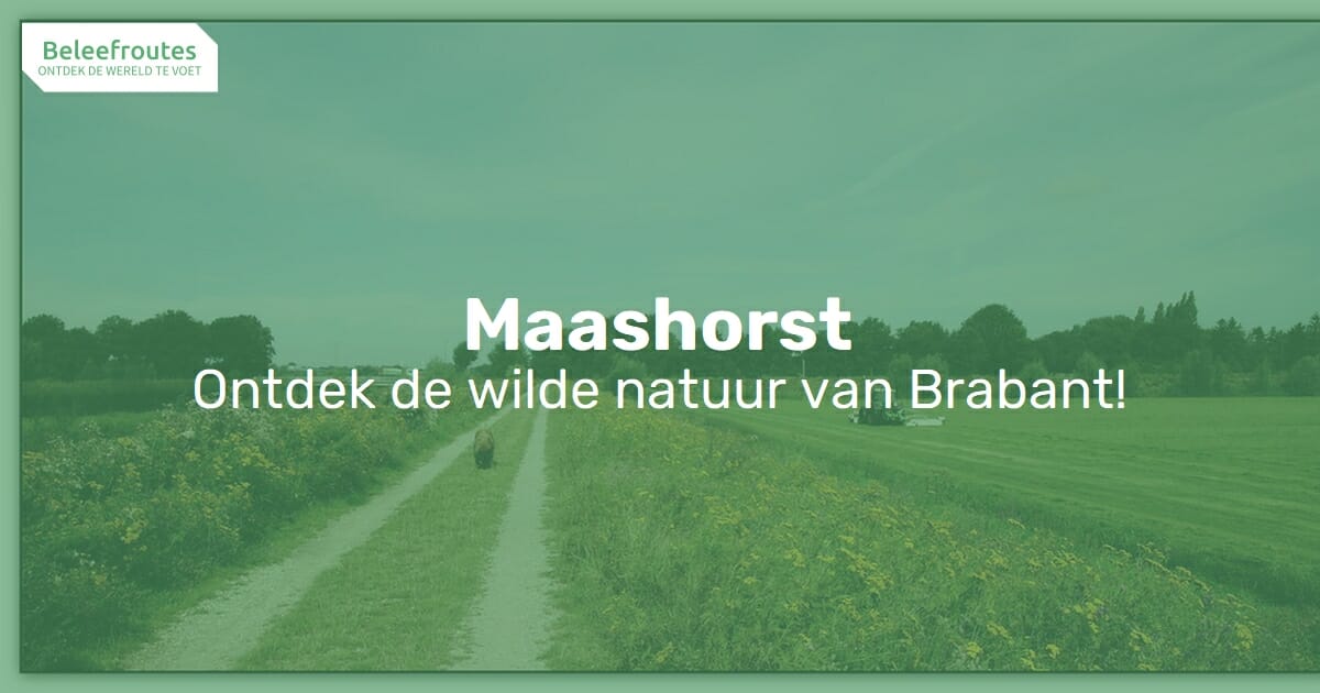 Maashorst - Beleefroutes