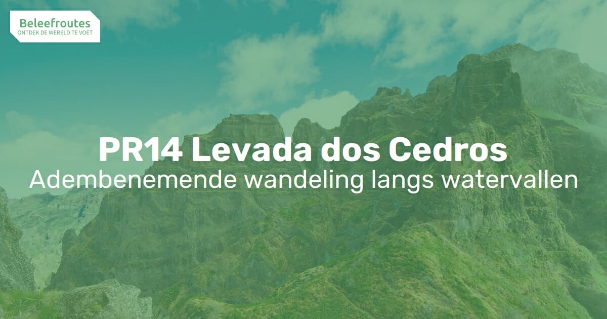PR14 Levada dos Cedros - Beleefroutes