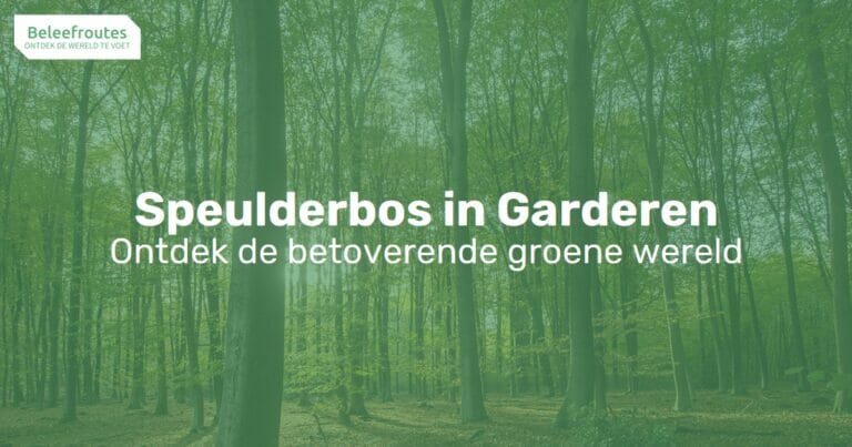 Speulderbos in Garderen - Beleefroutes