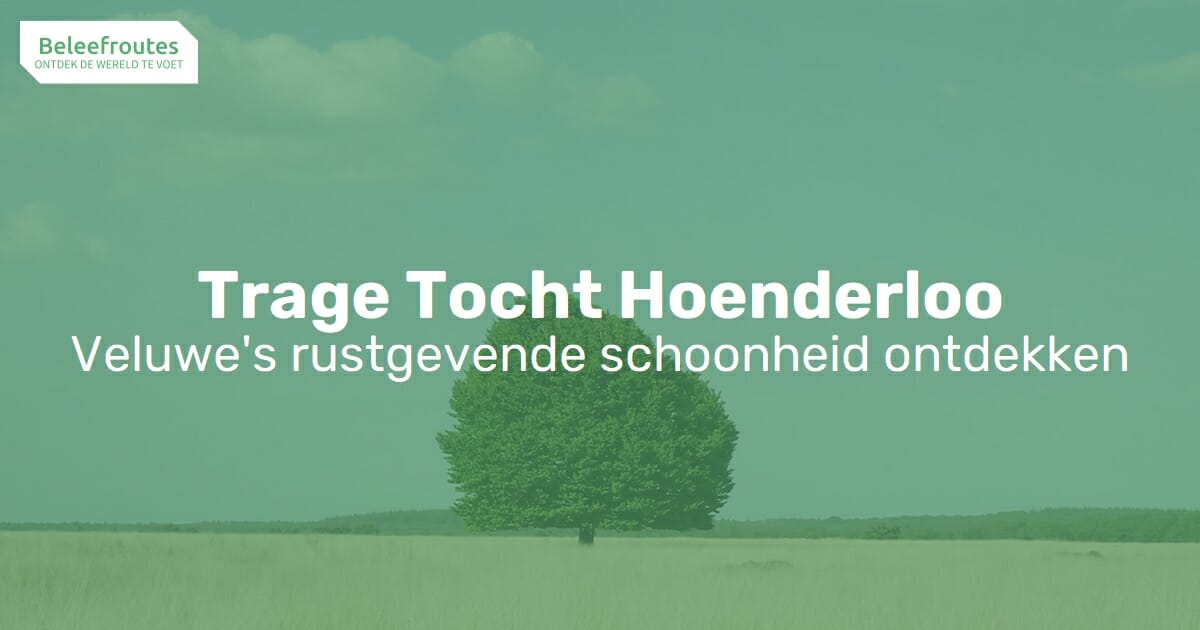 7 Mooiste Wandelroutes in Hoenderloo (Hartje Veluwe)