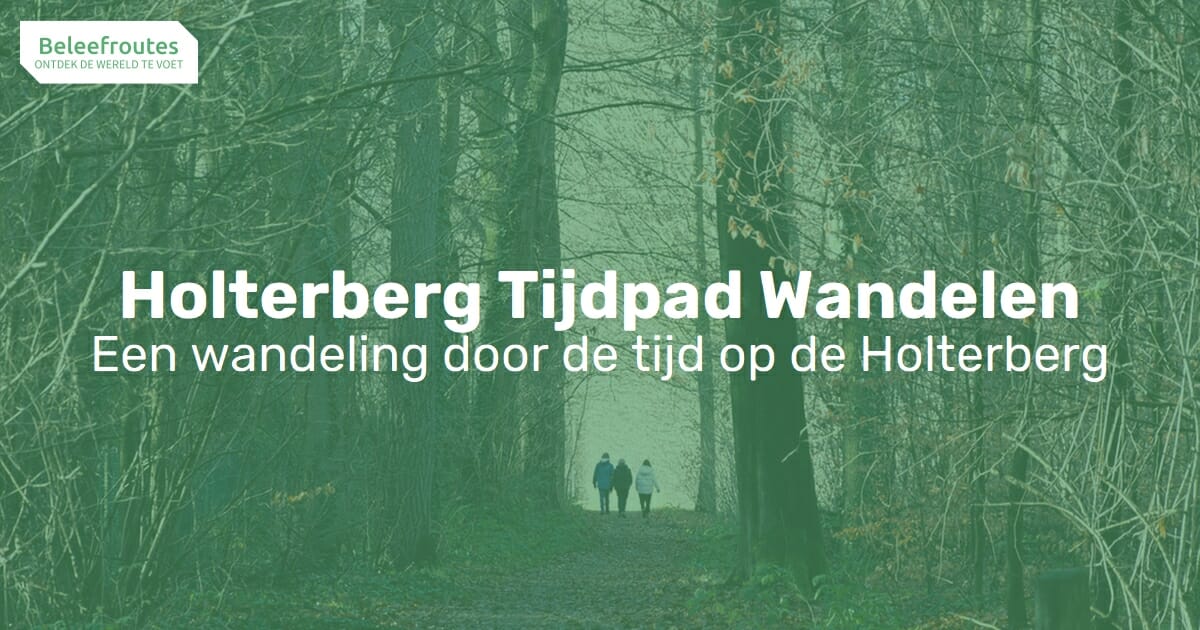 Holterberg Wandelroutes: Ontdek Prachtige Wandelingen