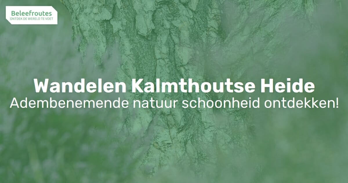 Dé mooiste wandelroutes door Kalmthoutse Heide (Gemarkeerd)