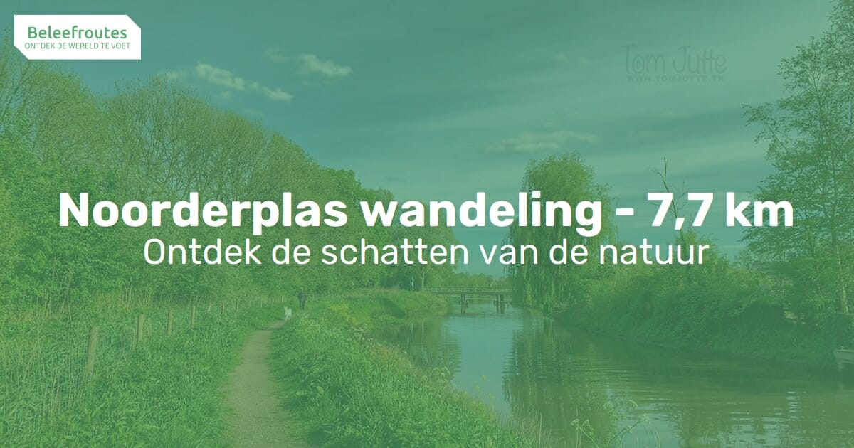 Wandeling bij de Noorderplas – 7,7km - Beleefroutes