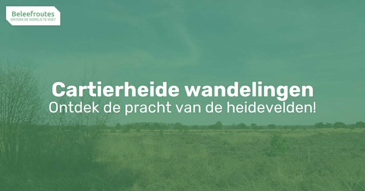 Wandelingen over de Cartierheide - Beleefroutes