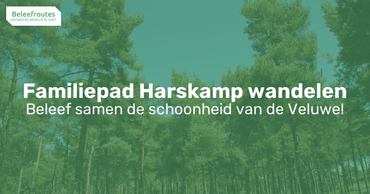 Wandelroute familiepad Harskamp - Beleefroutes