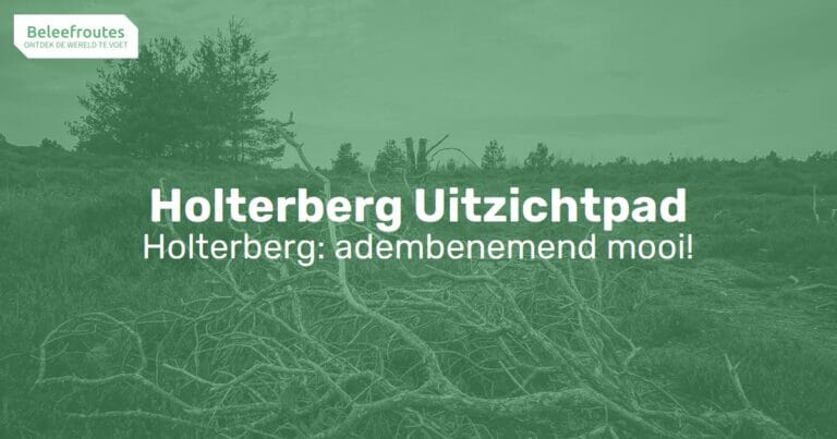 Holterberg Wandelroutes: Ontdek Prachtige Wandelingen