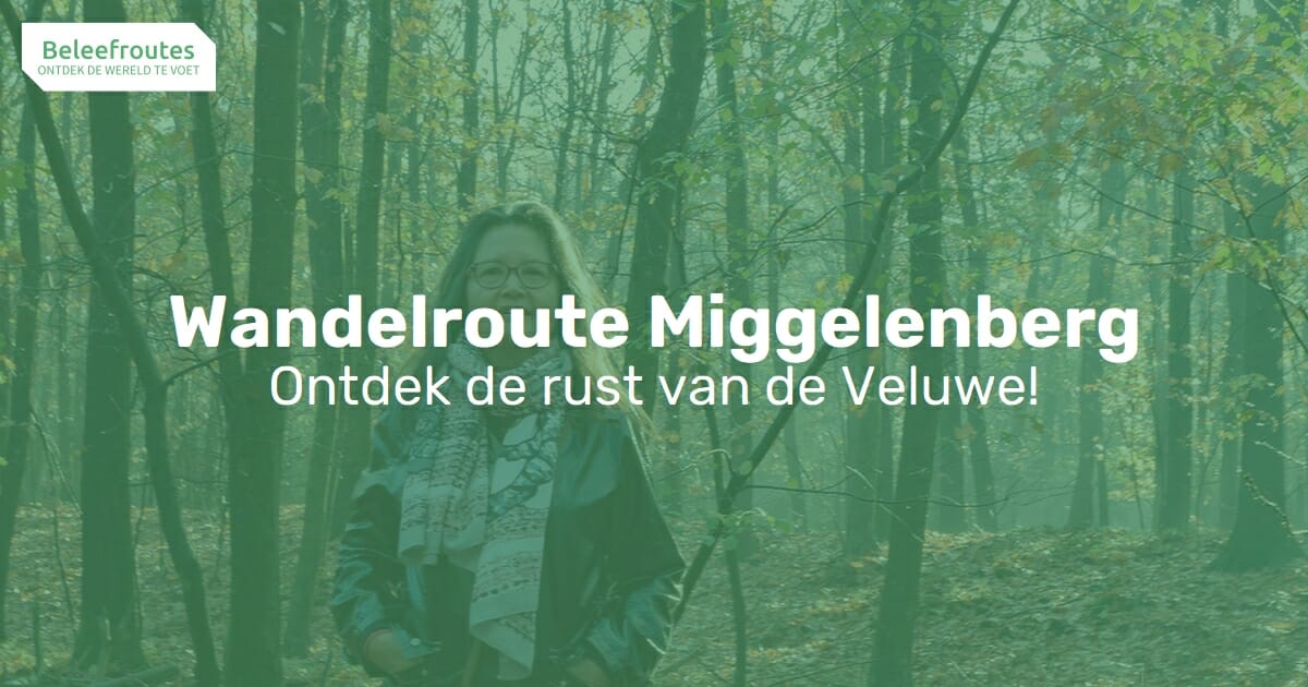 7 Mooiste Wandelroutes in Hoenderloo (Hartje Veluwe)