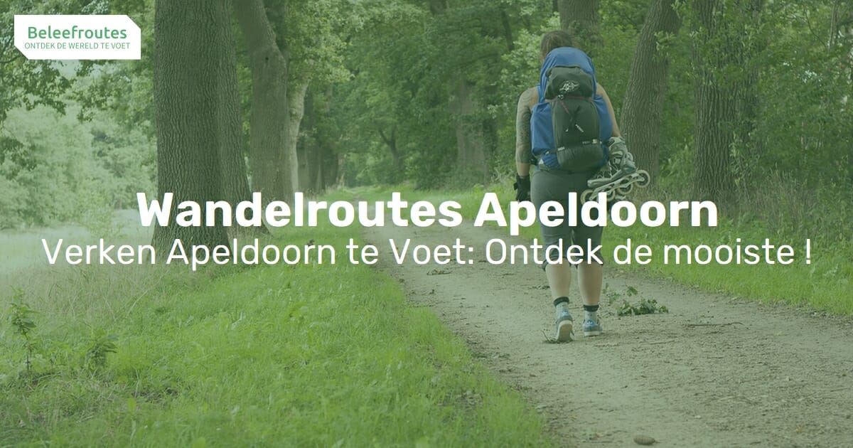 Stadswandeling door Rotterdam? 10x Mooie wandelroutes