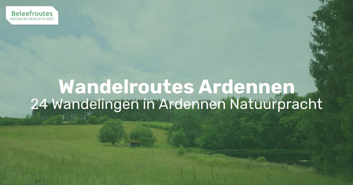 Ontdek de Biesbosch Wandelroutes: 5 Prachtige Wandelingen!