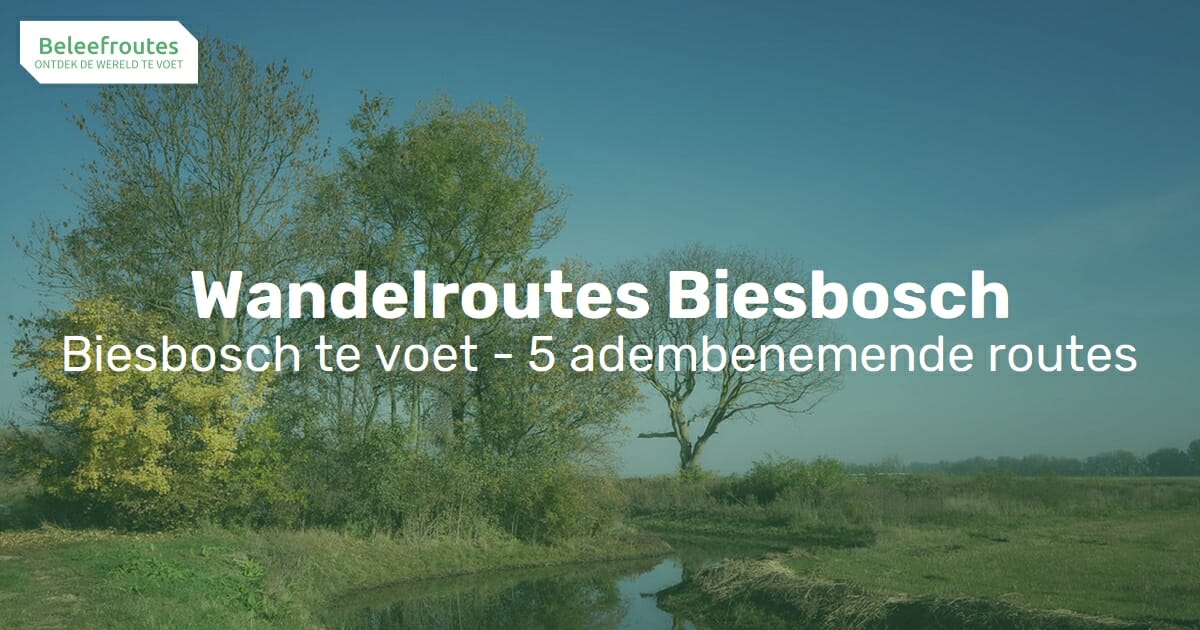8 Wandelroutes: Ontdek de Prachtige Schoorlse Duinen