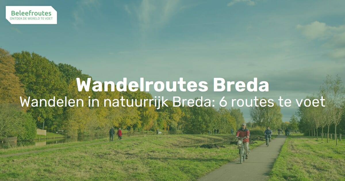 7 Mooiste Wandelroutes in Hoenderloo (Hartje Veluwe)