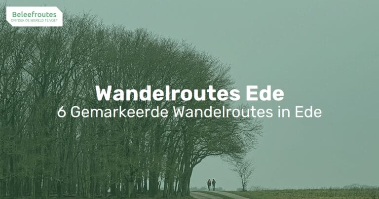 Betoverende Wandelroutes in Ede (Ontdek de Veluwe!)