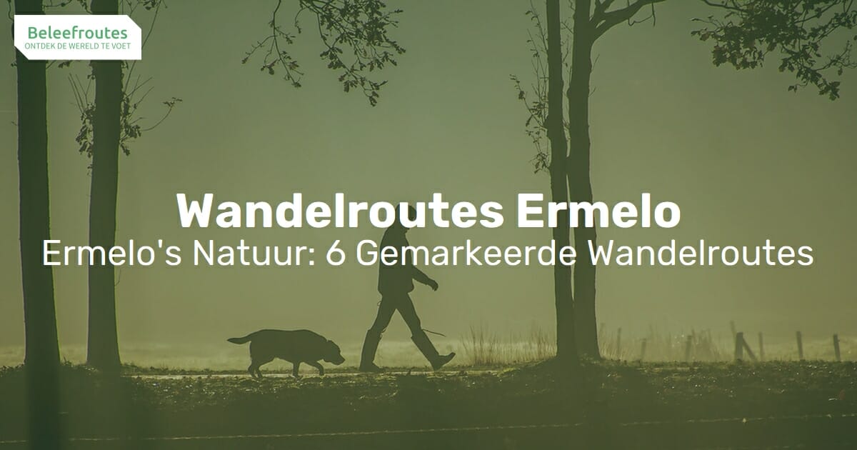 6x Wandelroutes in Ermelo - Ontdek Bos en Heidegebieden