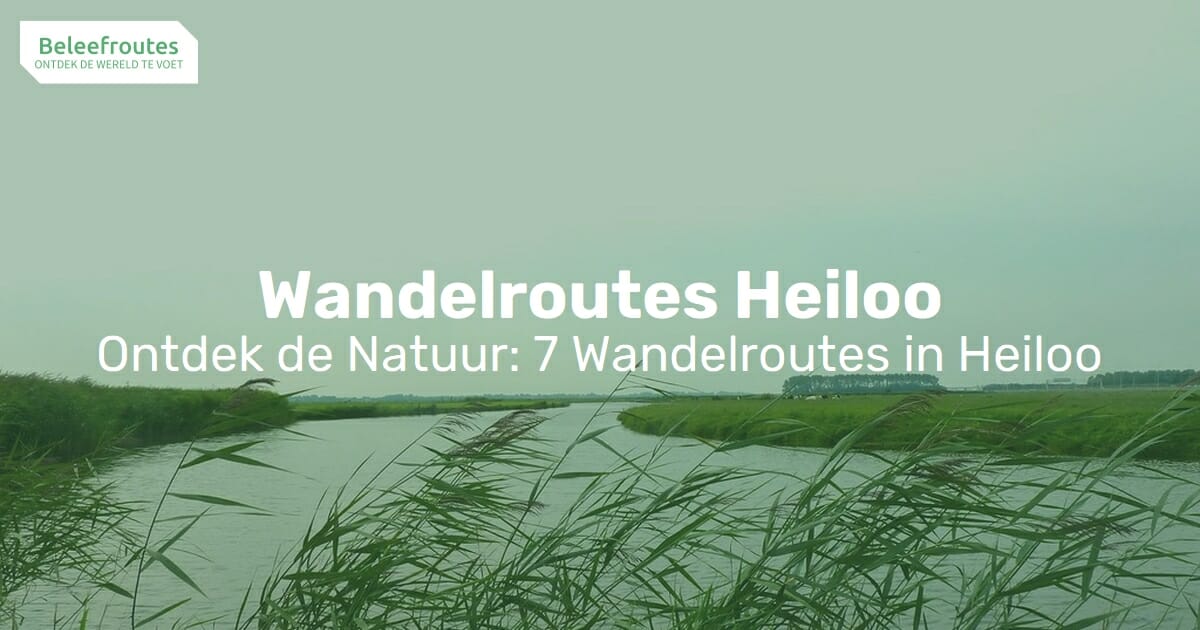 Wandelen in Heiloo: Top 5 Mooiste Wandelroutes