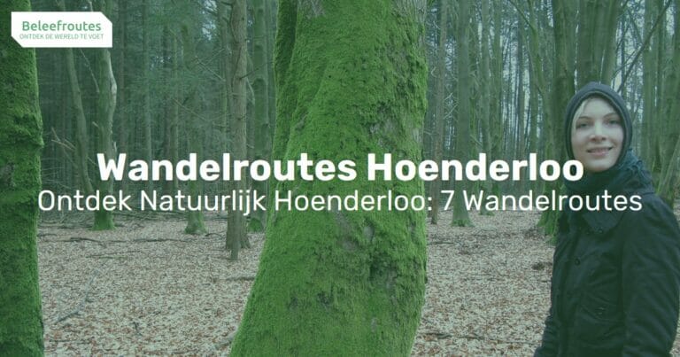 7 Mooiste Wandelroutes in Hoenderloo (Hartje Veluwe)