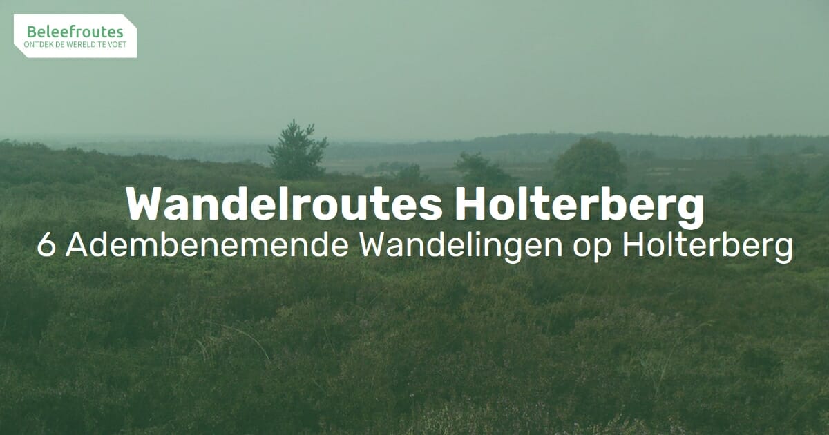 Holterberg Wandelroutes: Ontdek Prachtige Wandelingen