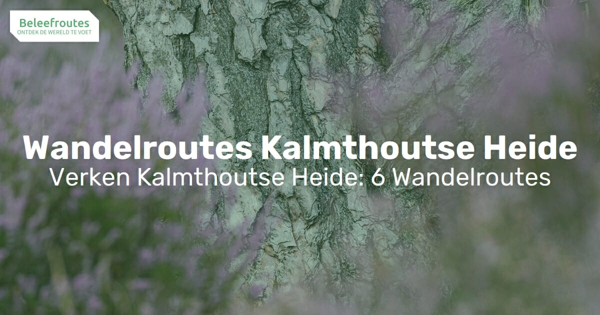 7 Mooiste Wandelroutes in Hoenderloo (Hartje Veluwe)