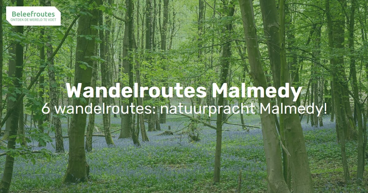 6x Mooiste Wandelroutes in Bergen aan Zee