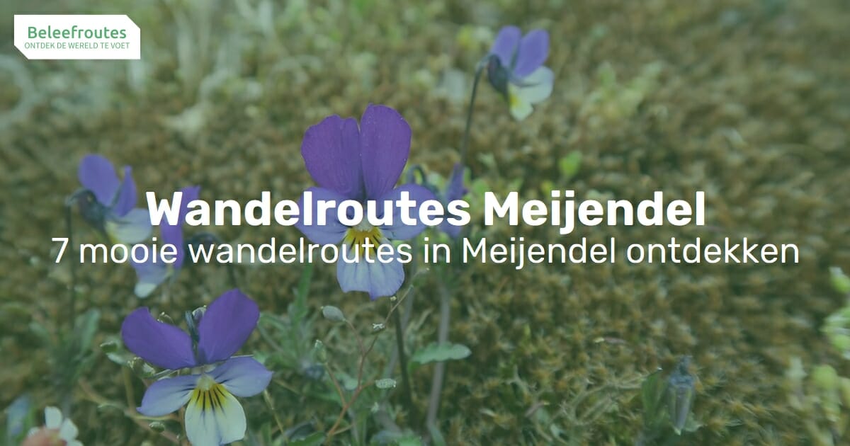 Prachtige Wandeltochten in Vaals: Top 5 Ontdekkingstochten