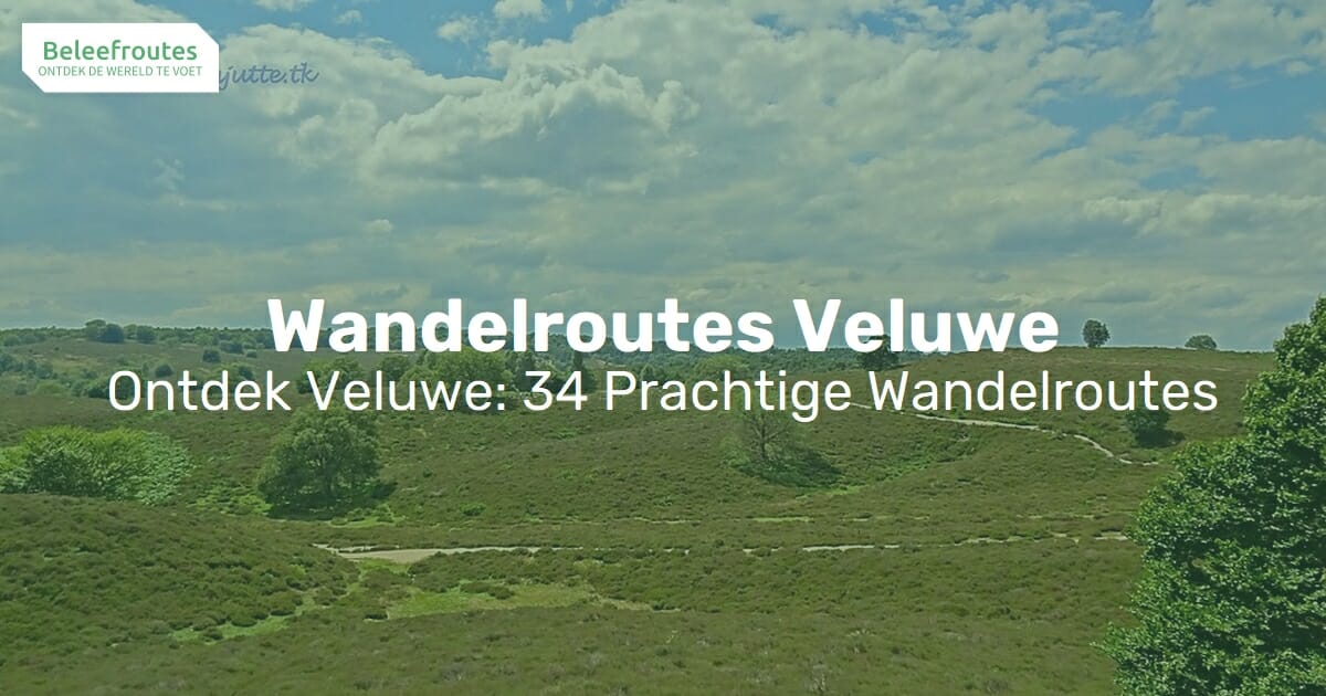 7 Mooiste Wandelroutes in Hoenderloo (Hartje Veluwe)