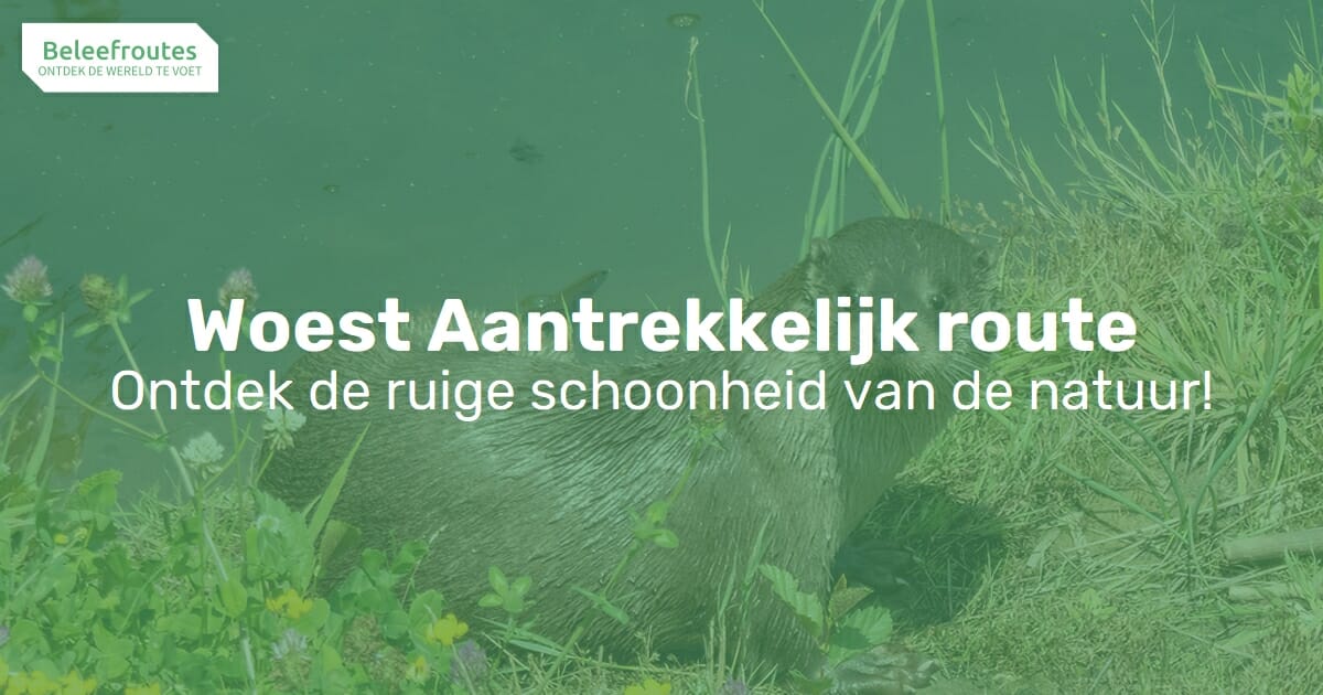 Woest Aantrekkelijk route - Beleefroutes